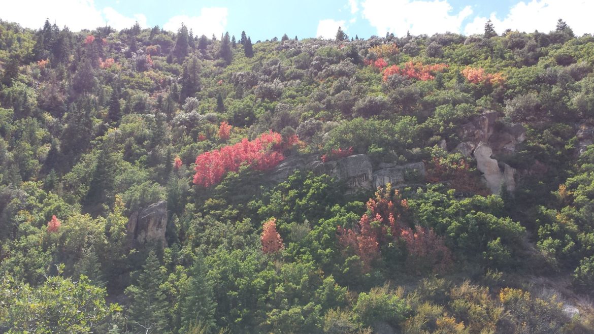 Marysvale, the Paiute Trail and The Big Rock Candy Mountain – Utah ...