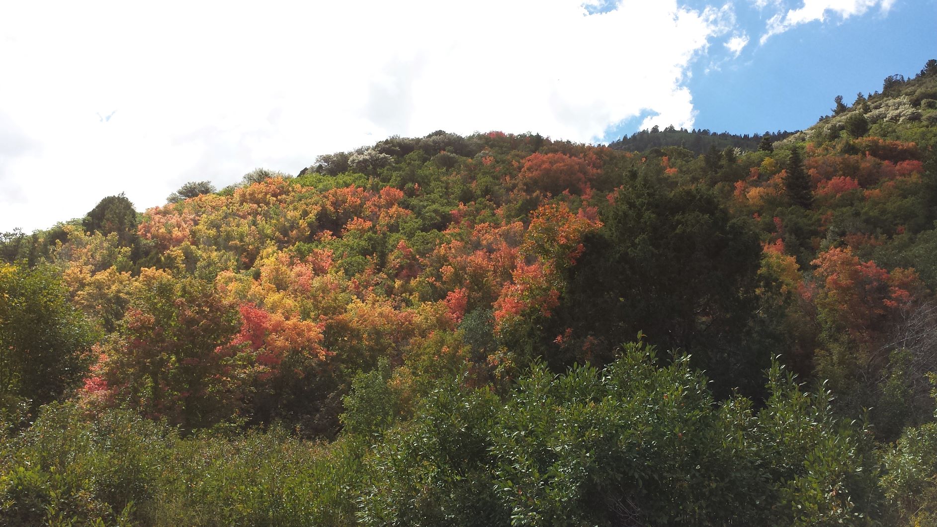 Marysvale, the Paiute Trail and The Big Rock Candy Mountain – Utah ...